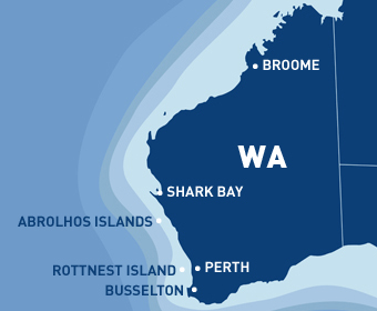 Western Australia - Redmap